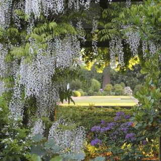 East Terrace | Morton Hall Gardens