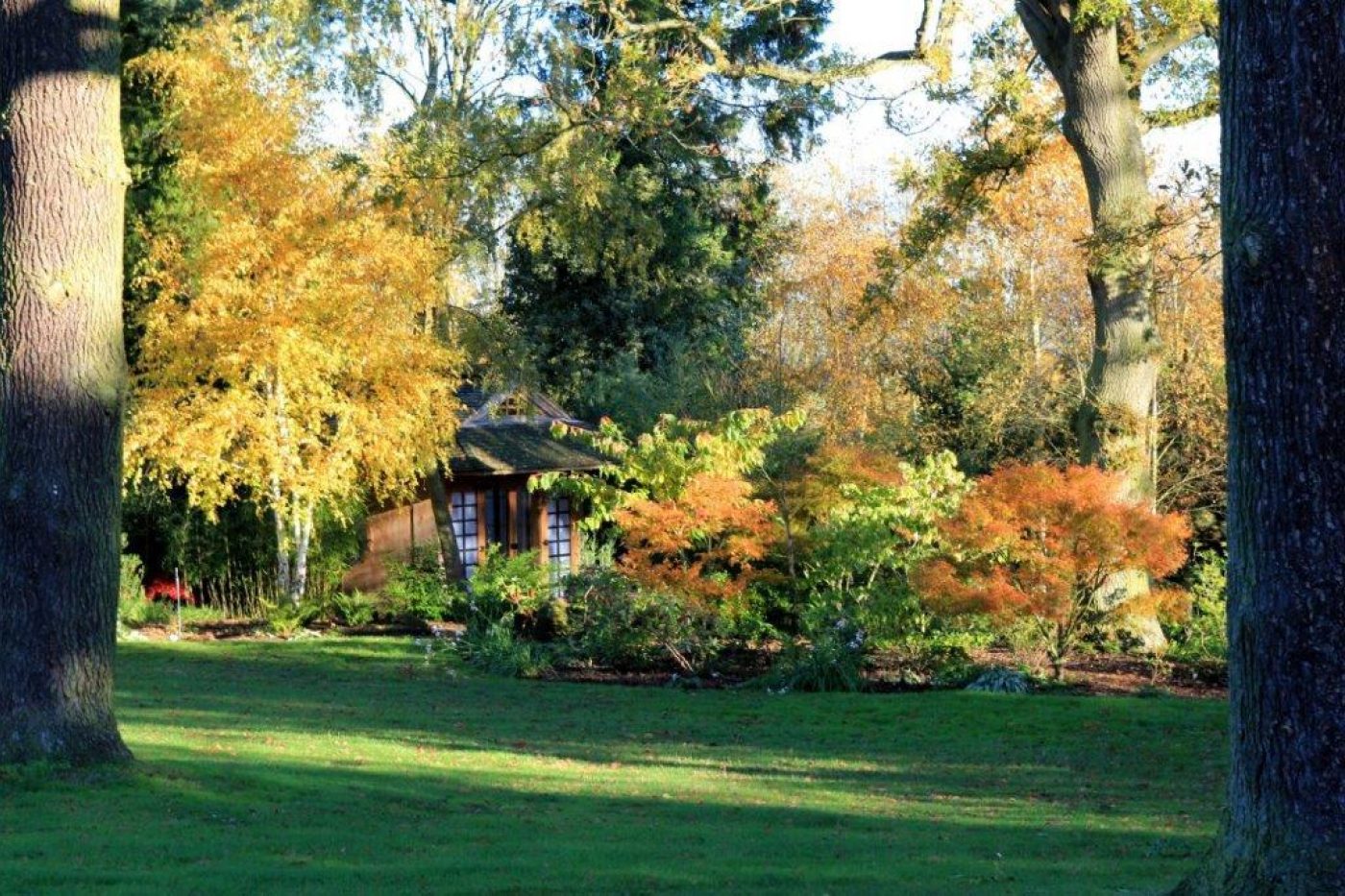 A Glimpse of the November Garden