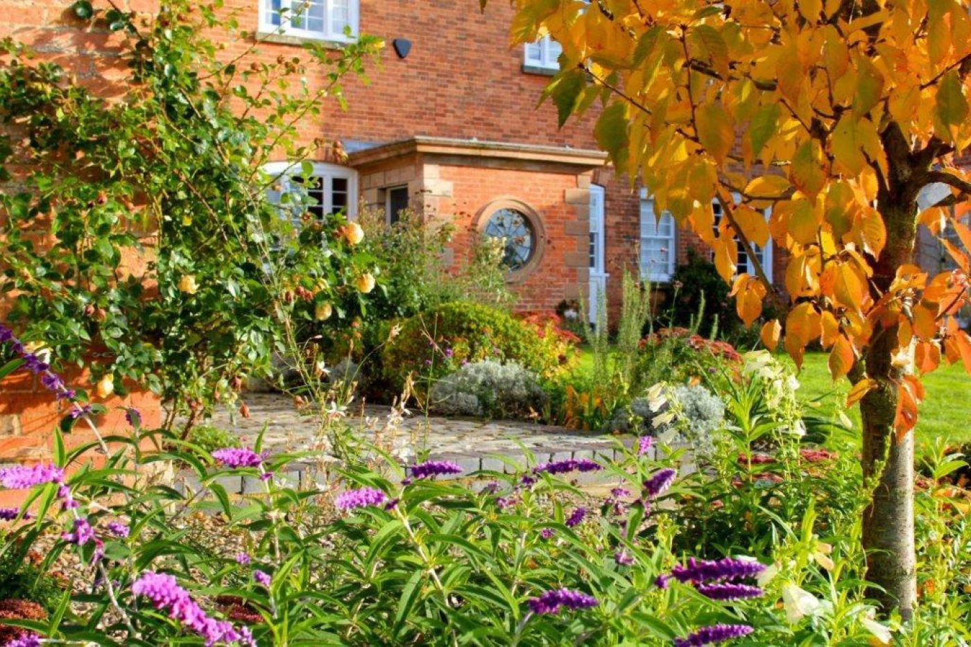 A Glimpse of the November Garden