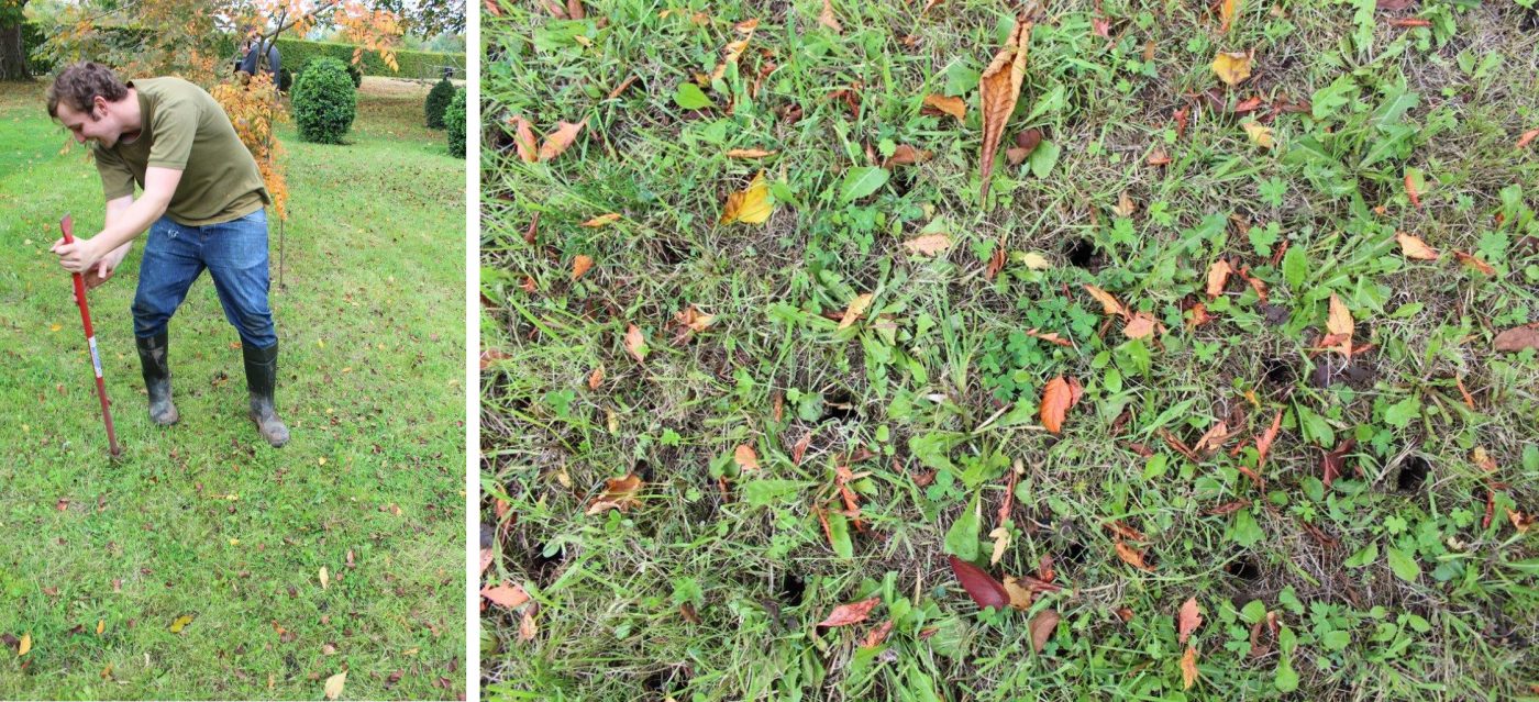 Planting Bulbs in Grass