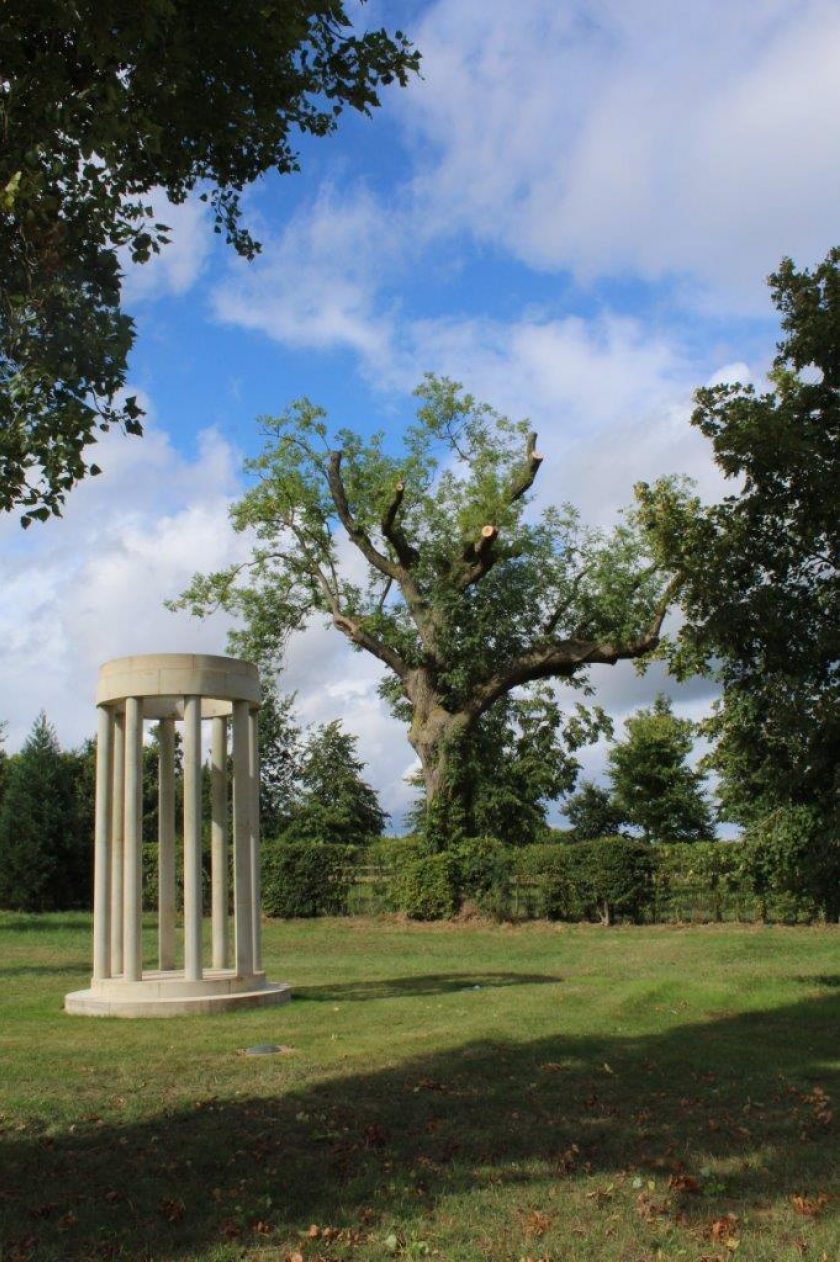 Pollarding an old Ash tree